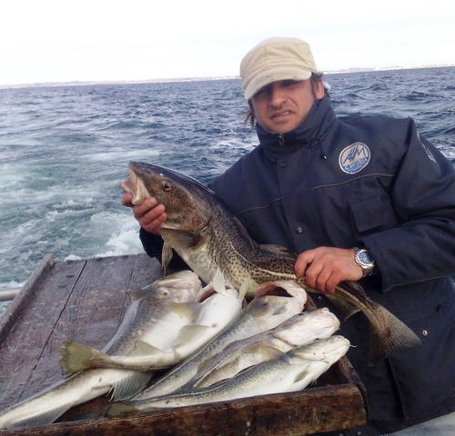 MERLUZZI IN DANIMARCA